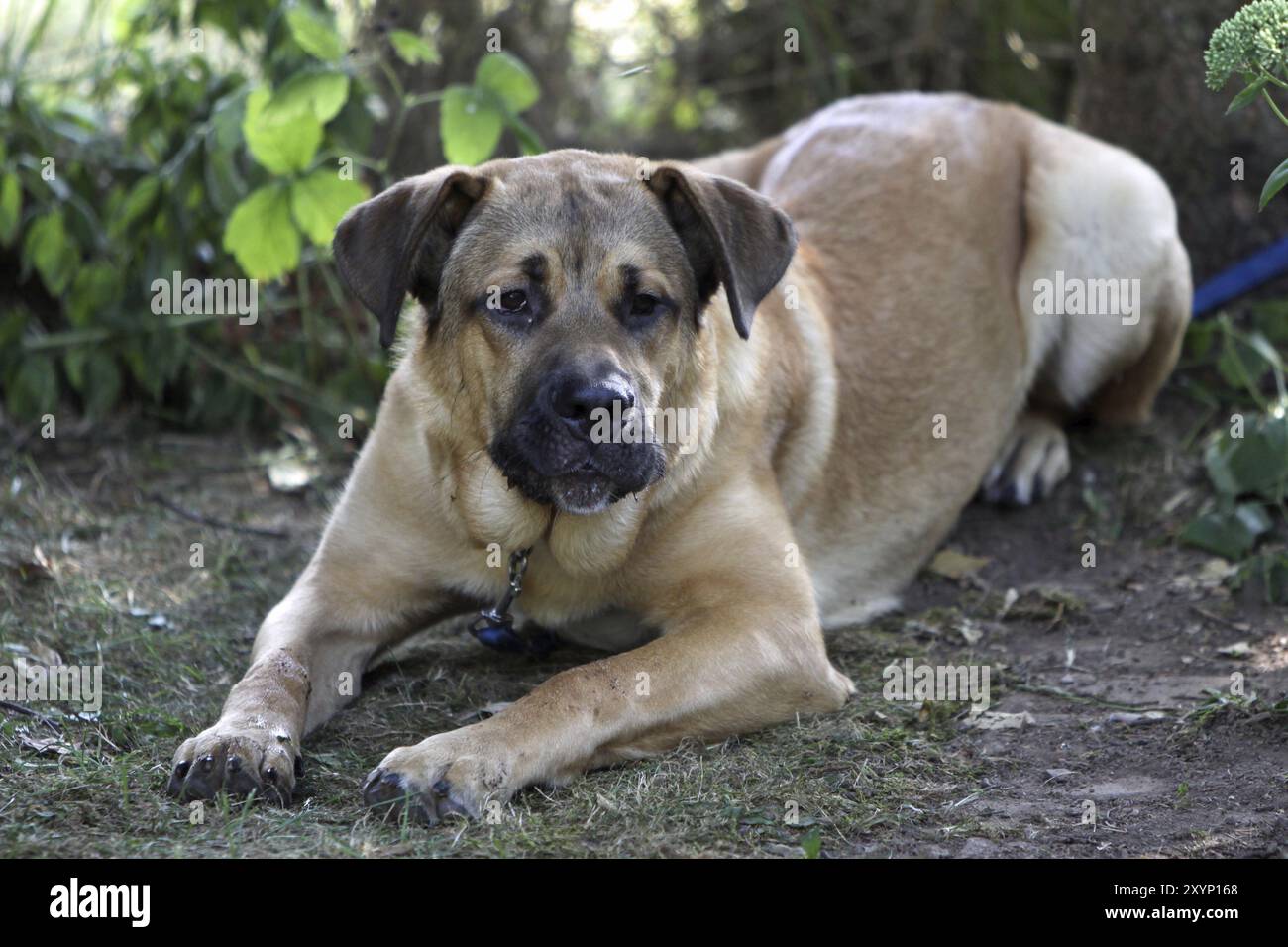 Fila business hi-res stock photography and images - Alamy