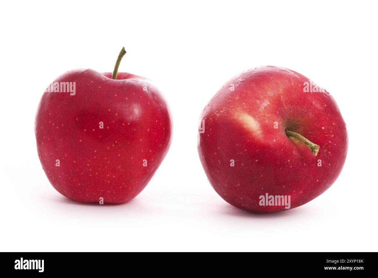 Two red apples isolated on white Stock Photo - Alamy