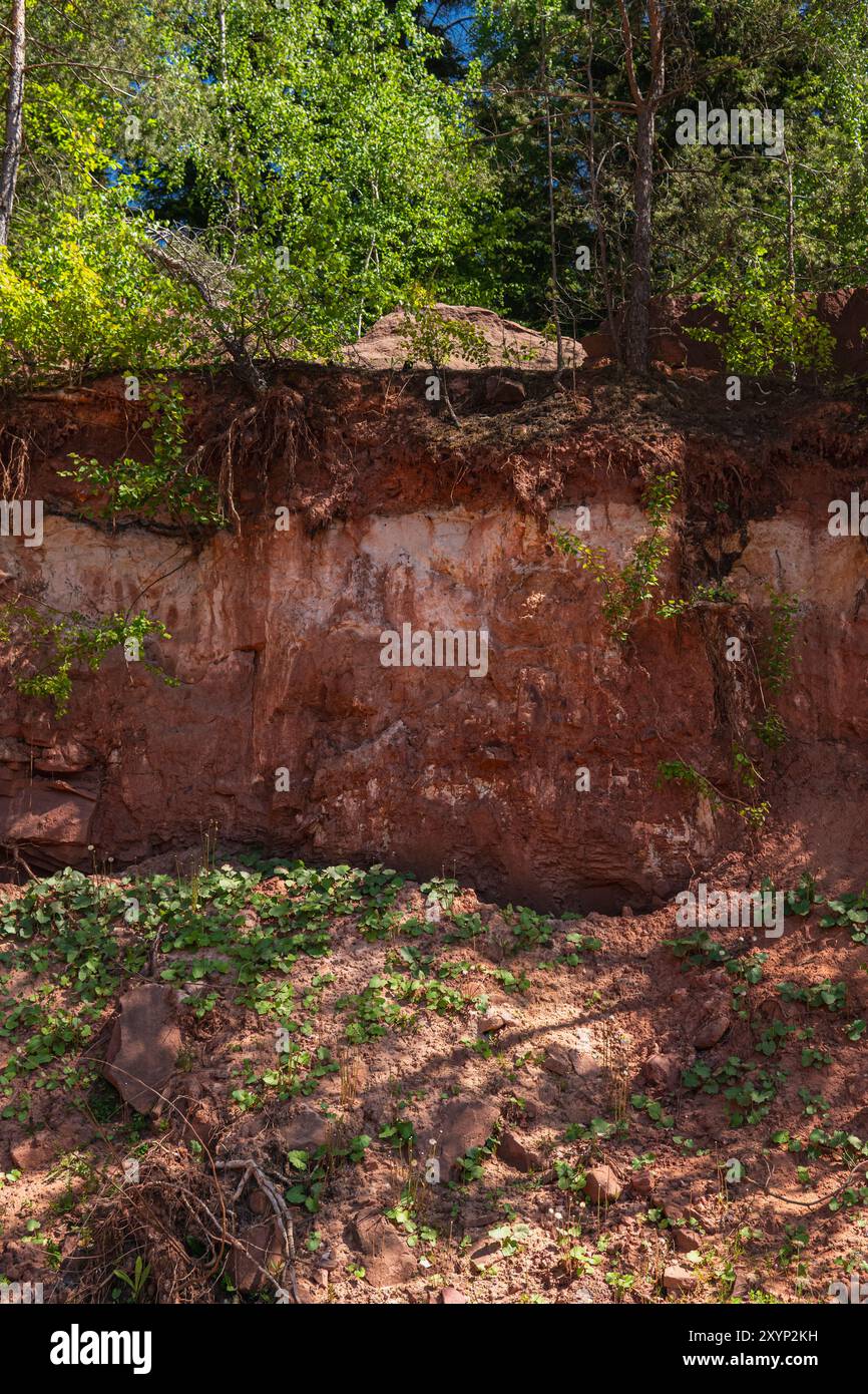 Layers of soil on the sandstone and under the forest Stock Photo - Alamy