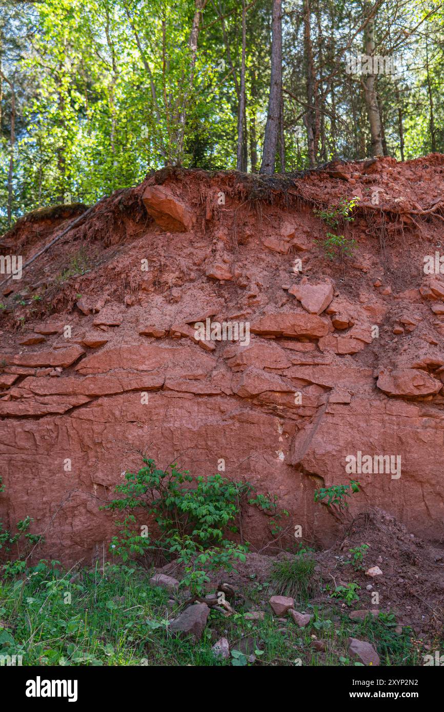Layers of soil on the sandstone and under the forest Stock Photo - Alamy