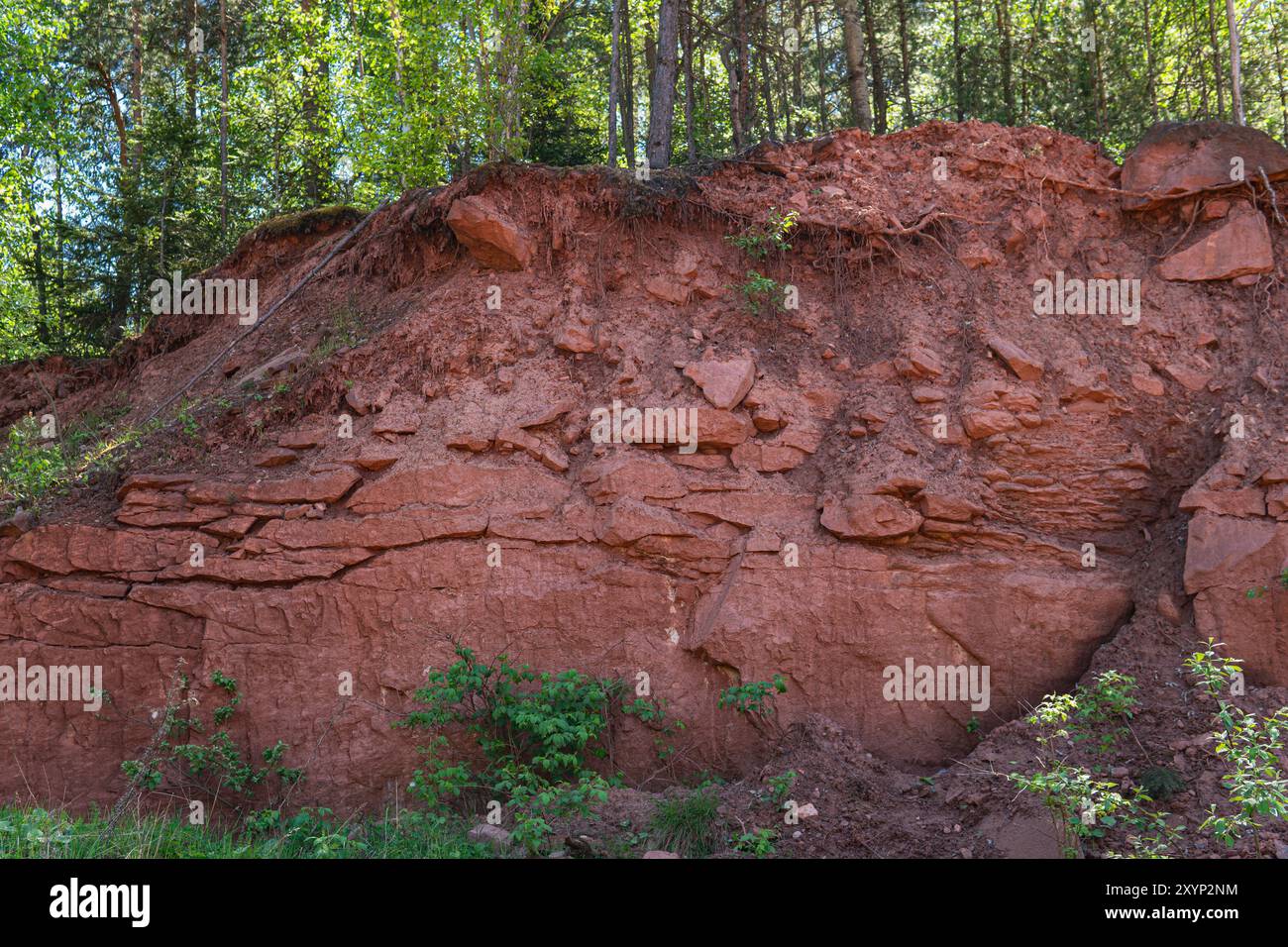 Layers of soil on the sandstone and under the forest Stock Photo - Alamy