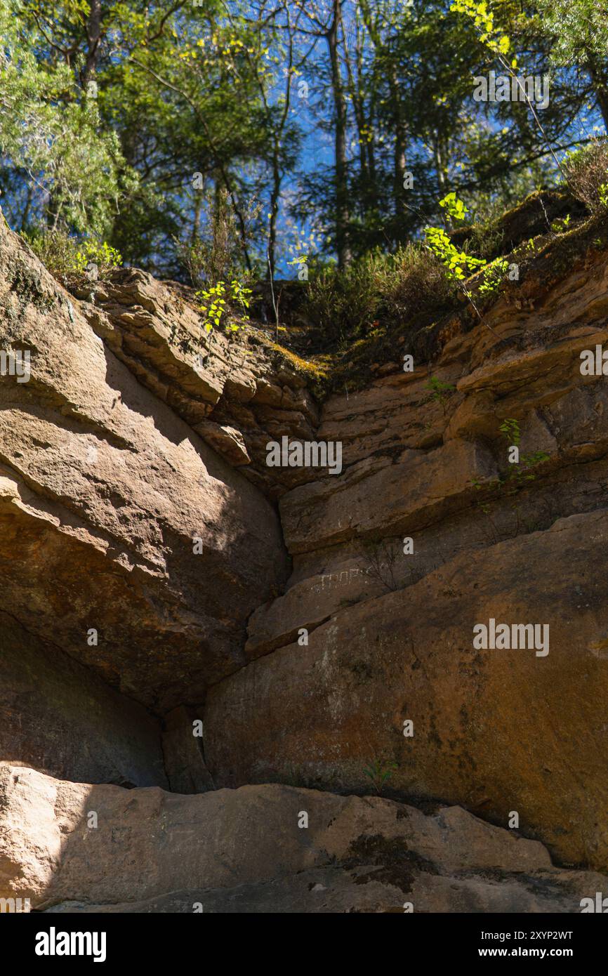 Small trees overgrowing the slope of a former quarry Stock Photo - Alamy