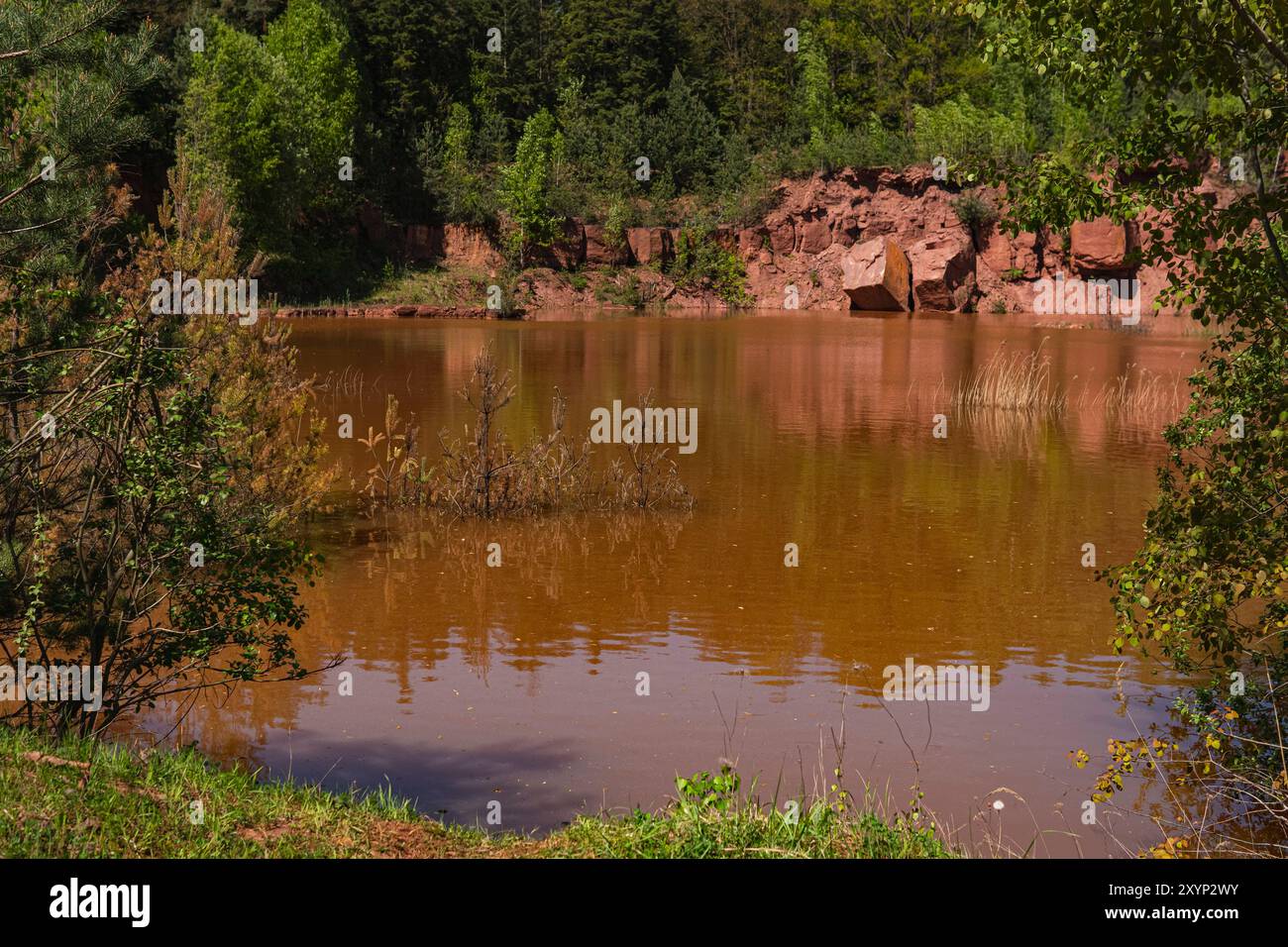 Landscape of an abandoned red sandstone quarry with water filling its ...