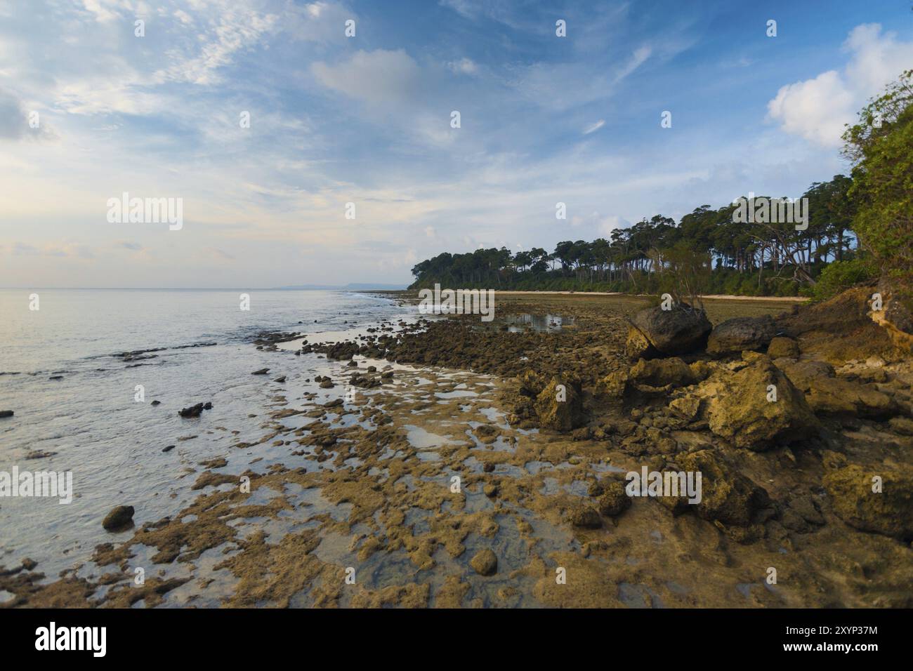 Neil island andaman india hi-res stock photography and images - Alamy