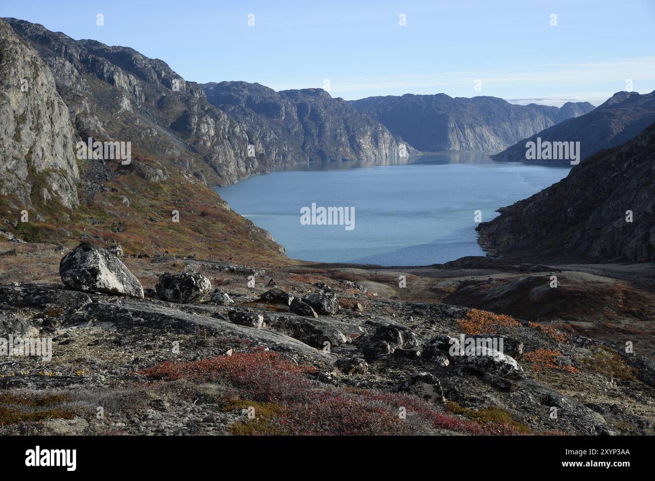 Fox Harbour, Southwest Greenland Stock Photo - Alamy