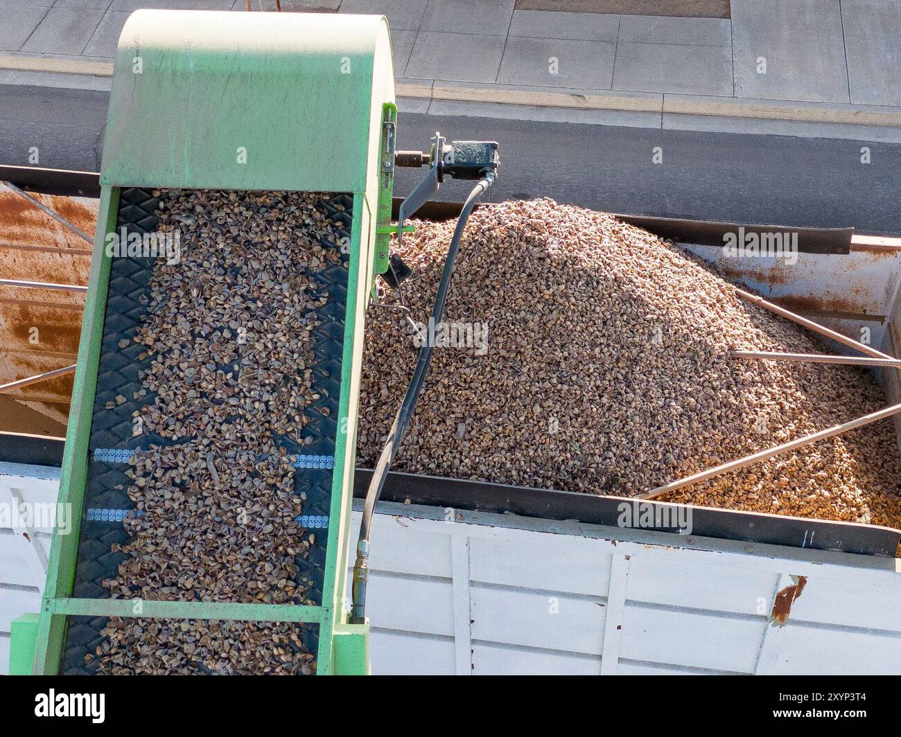 California almonds 01 jpg hi-res stock photography and images - Alamy