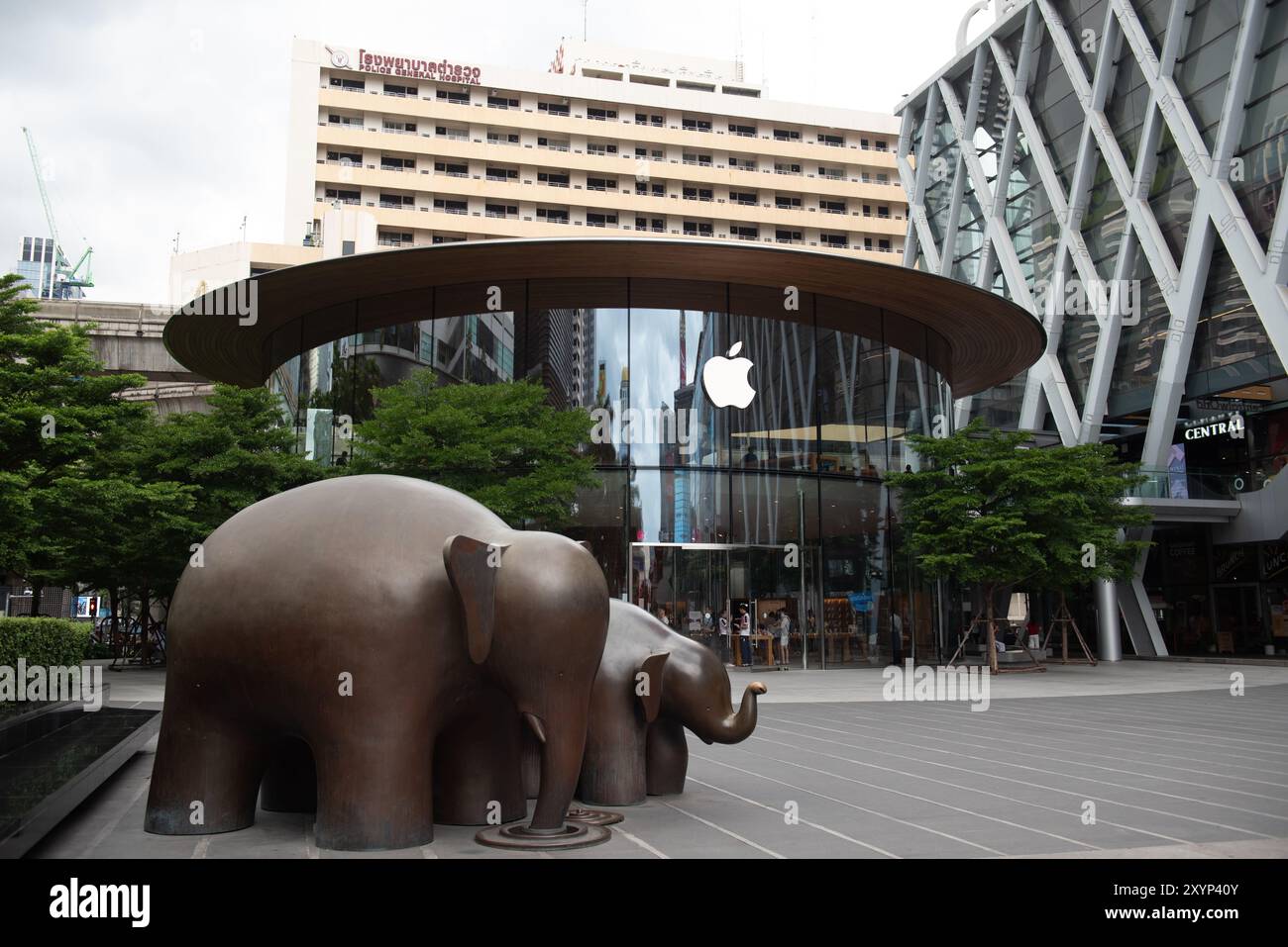 Bangkok, Thailand. 30th Aug, 2024. The exterior view of Apple Central World, the second Apple ...