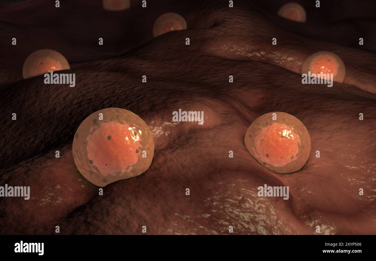 Microscopic fertilization hi-res stock photography and images - Alamy