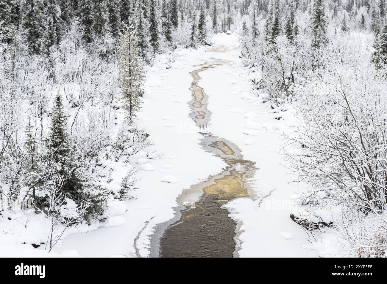 Freezing stream, Muddus National Park, Laponia World Heritage Site ...