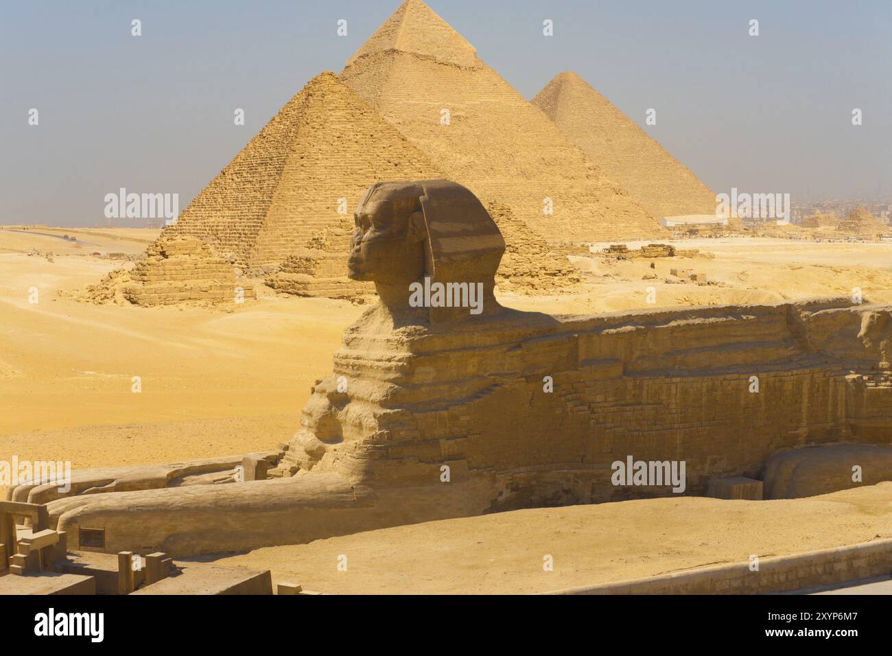 A side view of the great Sphinx with all of the pyramids of Giza in the ...