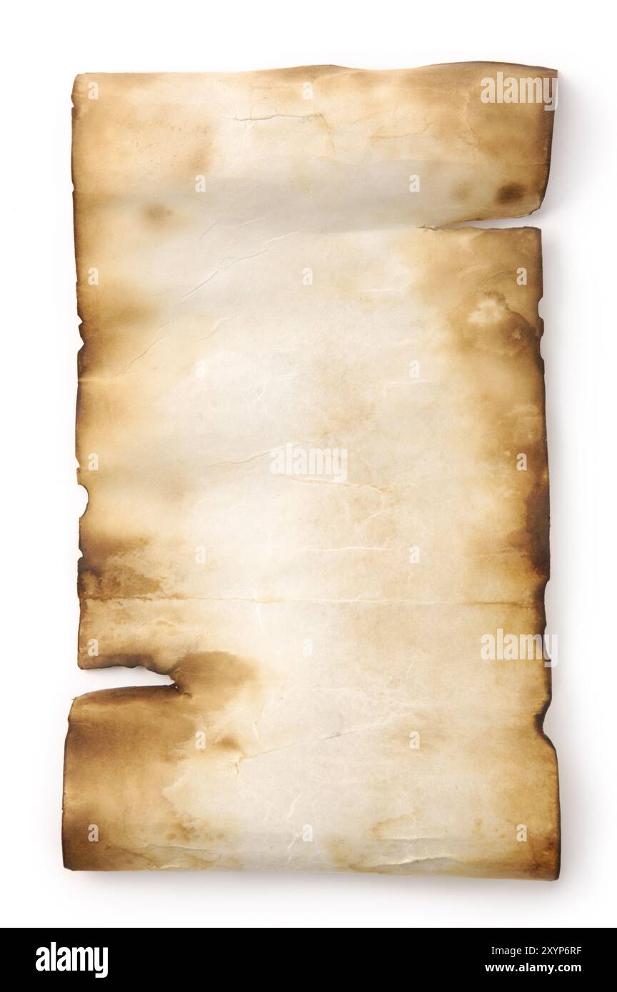 Unfolded blank roll of yellowish burnt vintage parchment isolated over ...