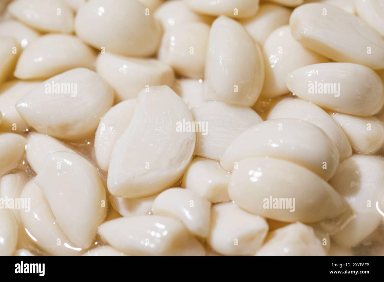 Close up garlic cloves Stock Photo - Alamy