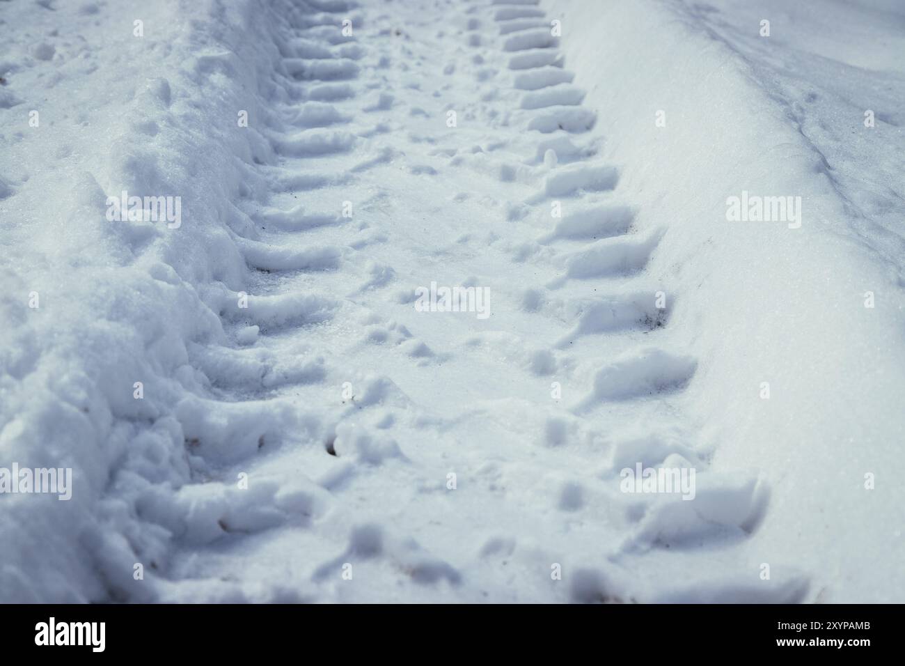 Skid mark in the fresh powder snow, outside in the winter Stock Photo ...