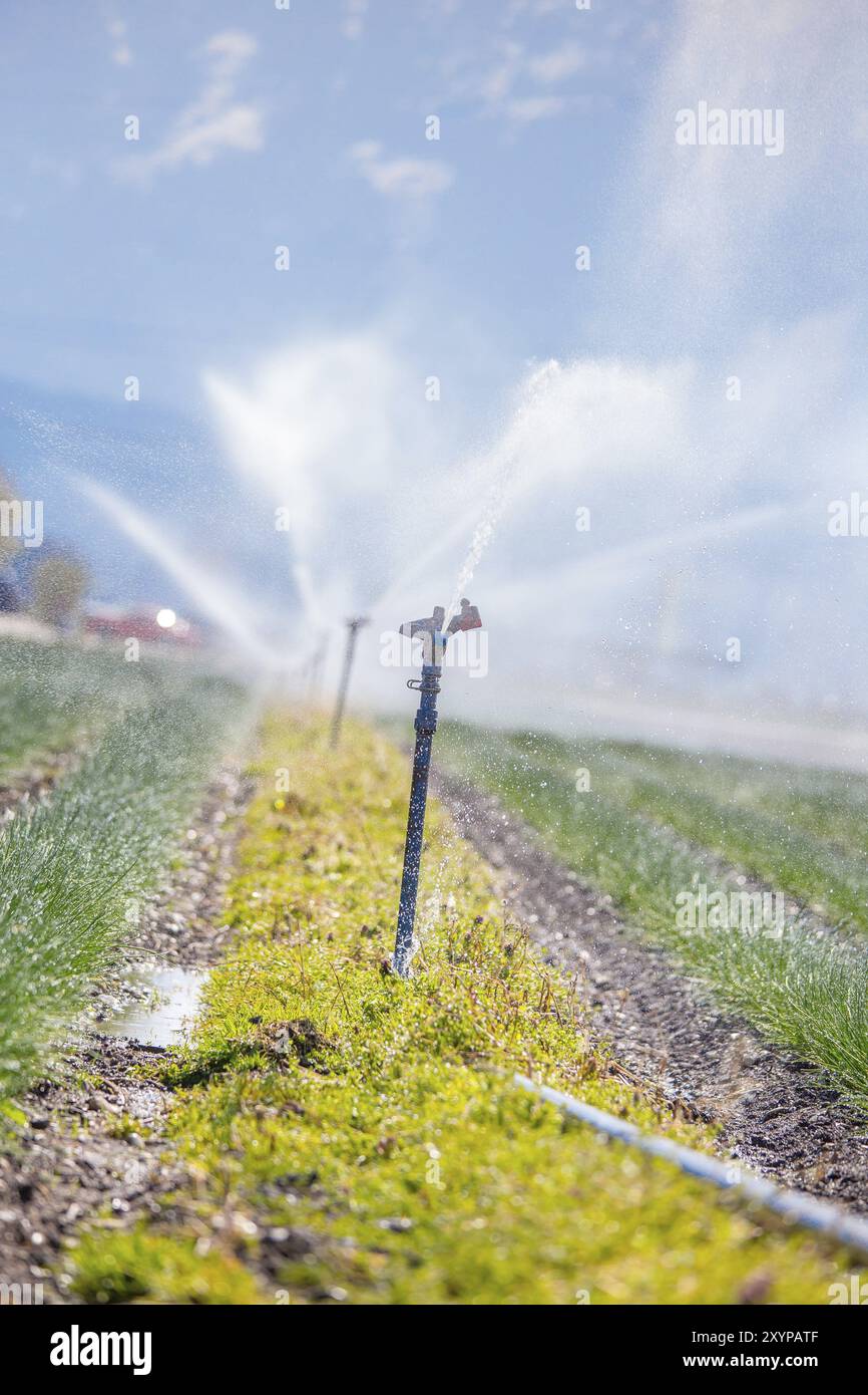 Irrigation plant on an agriculture field, summer day, soil Stock Photo ...