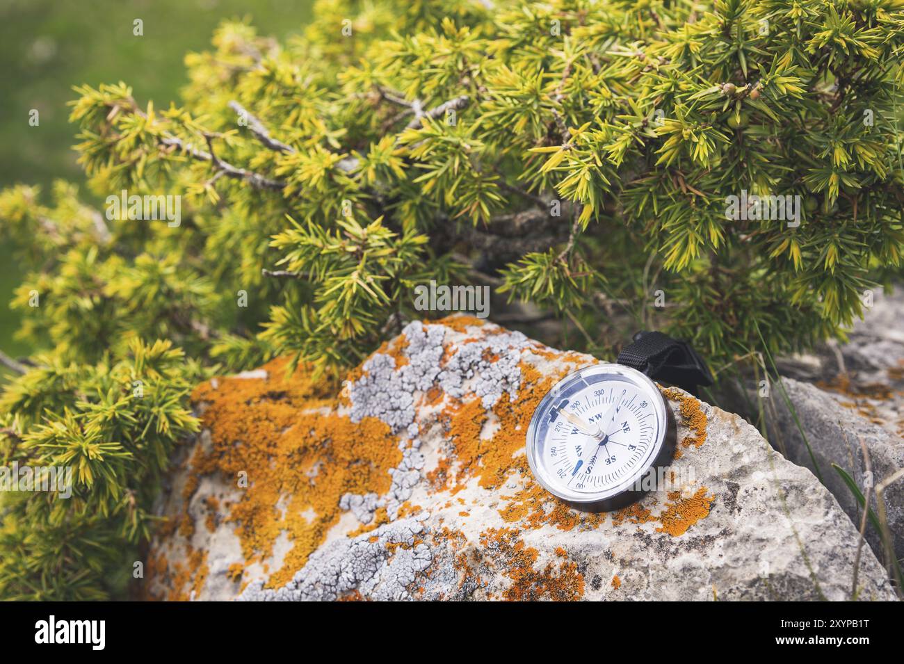 Magnetic compass lying on hi-res stock photography and images - Alamy