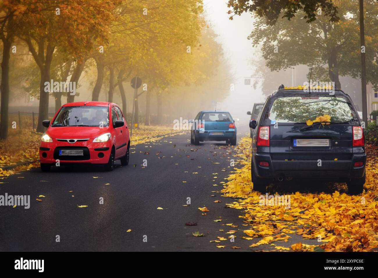 3 cars on the road on an autumn day Stock Photo - Alamy
