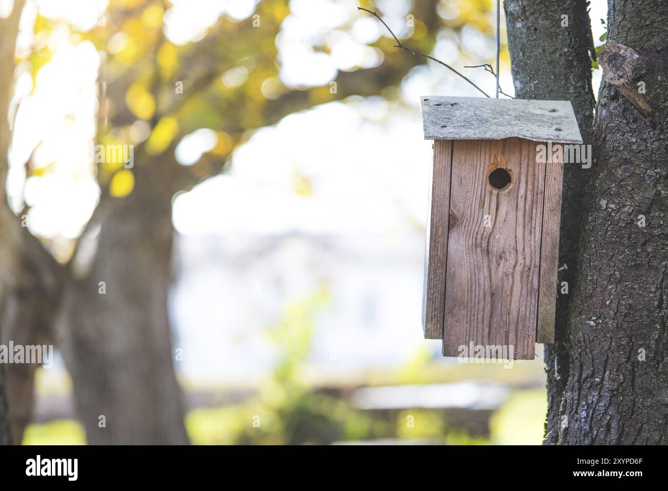 Wooden bird house on hi-res stock photography and images - Alamy