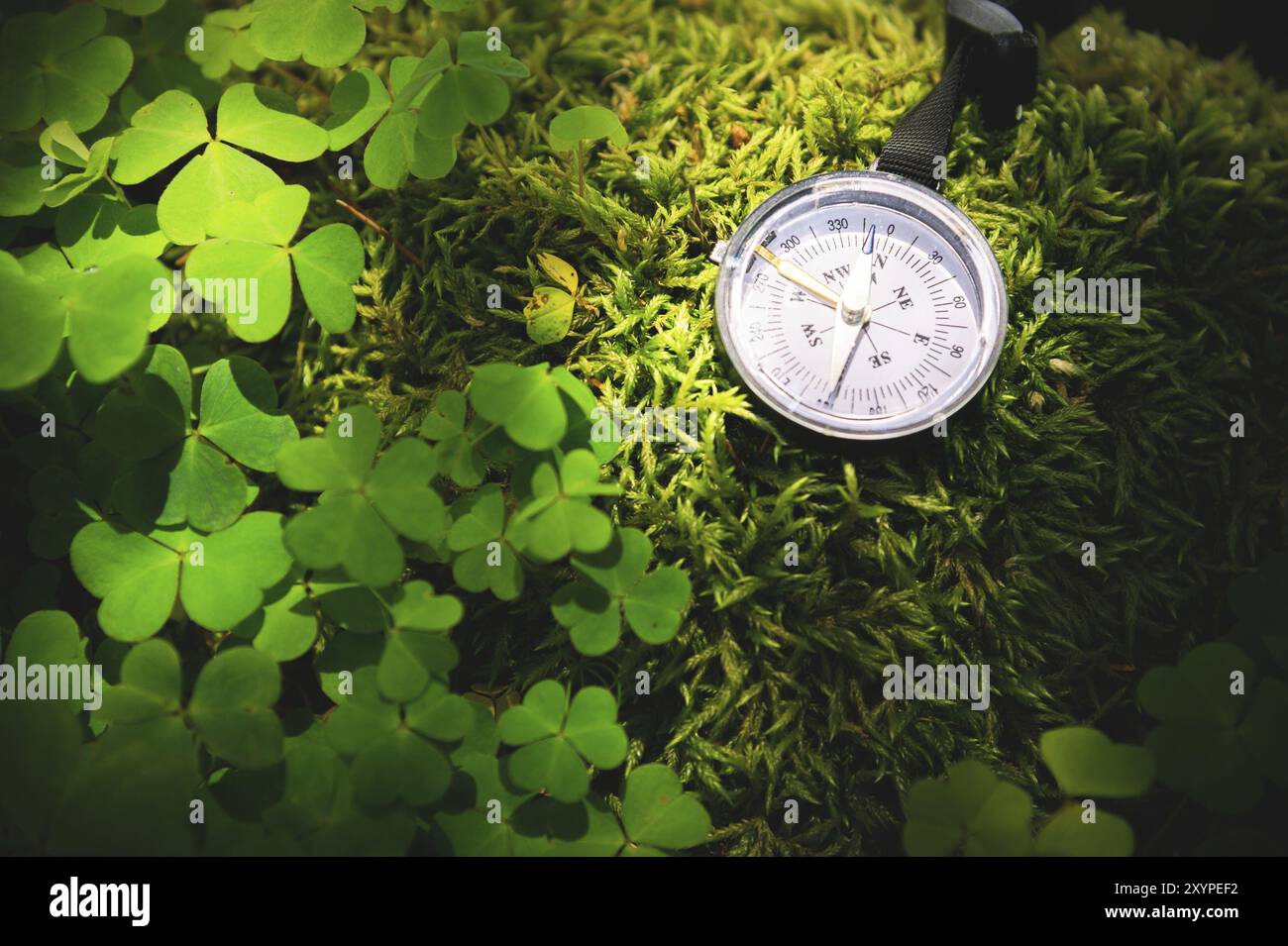 Close up handmade wooden compass, tree shadows on green nature grass ...