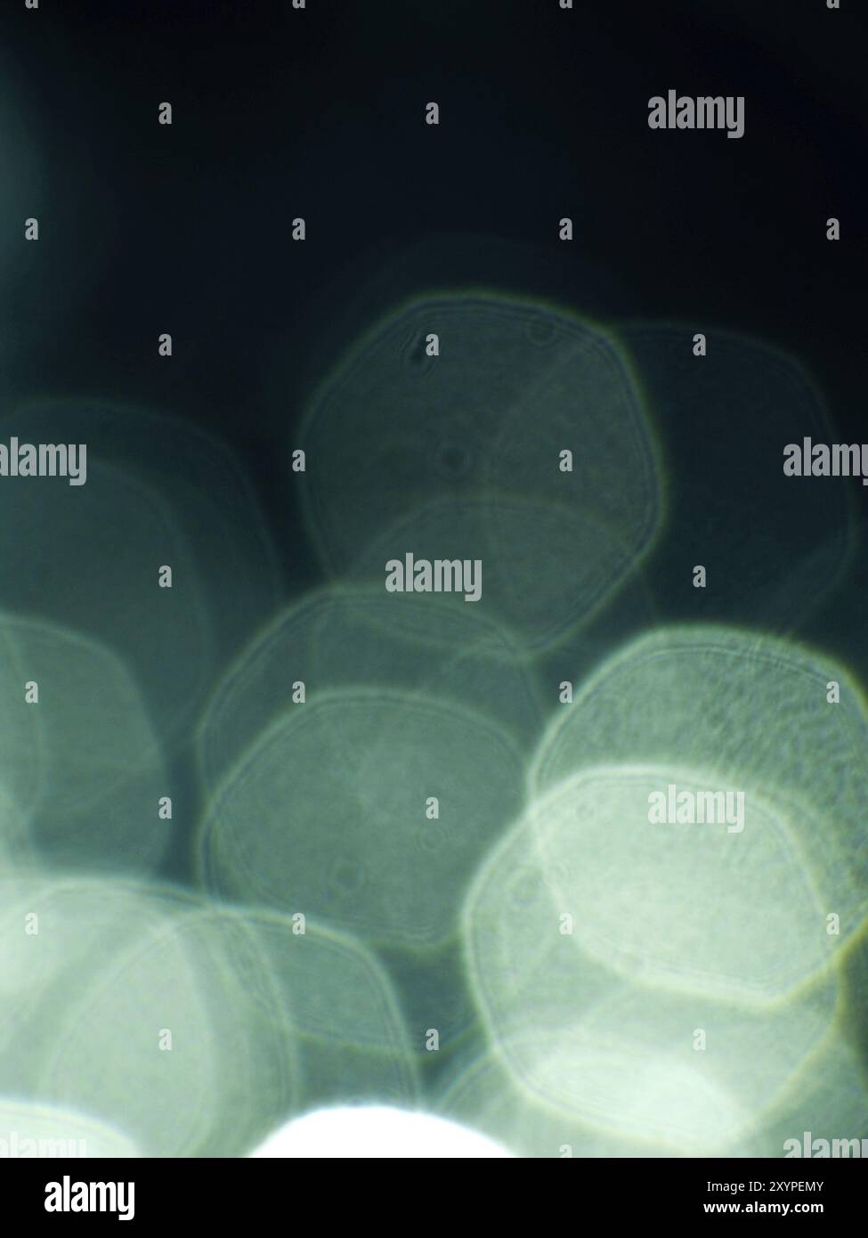 Shimmering spots hi-res stock photography and images - Alamy