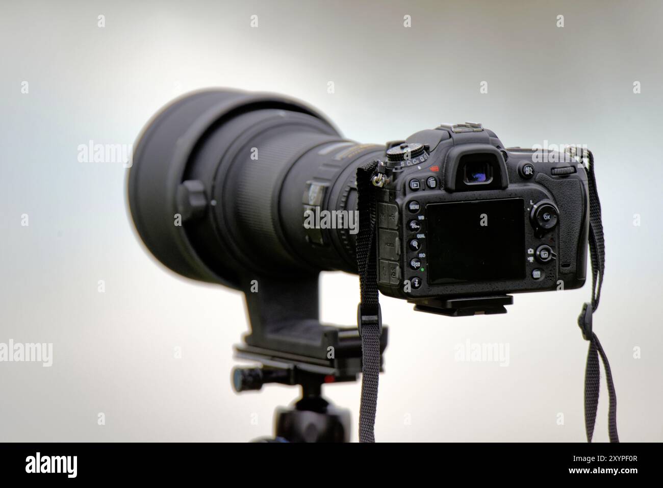 Telephoto shots hi-res stock photography and images - Alamy