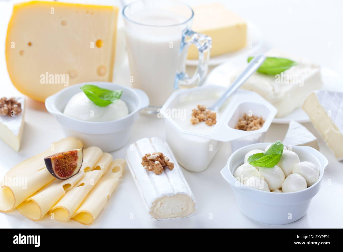 Assortment of different dairy products on a white background Stock ...