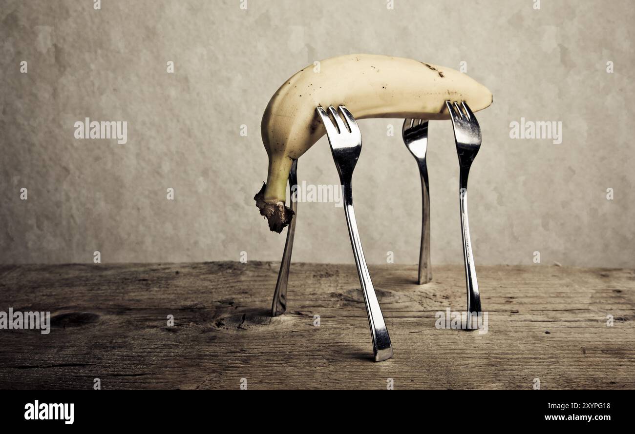 Dead impaled hi-res stock photography and images - Alamy