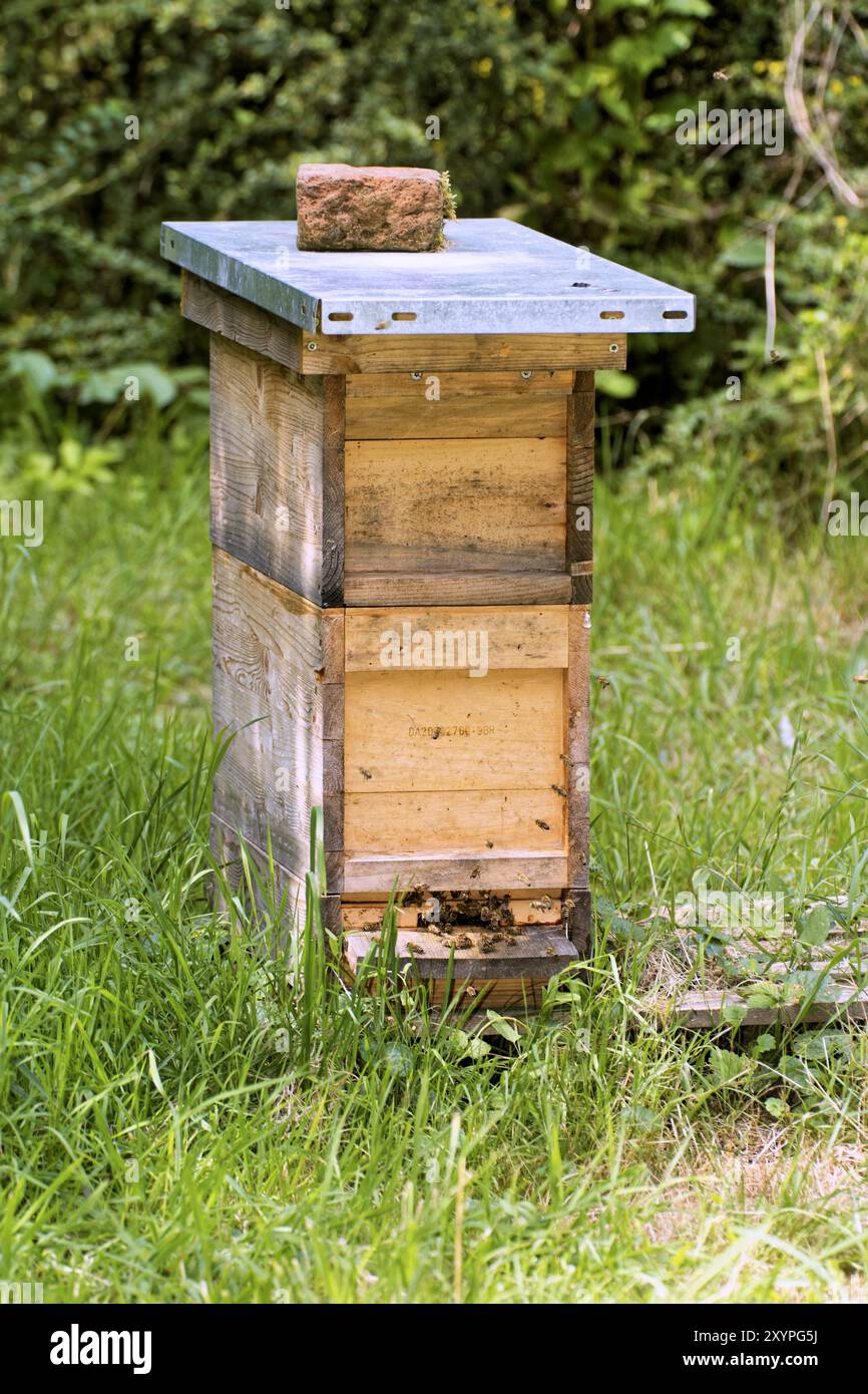 Beehive Magazine hive Stock Photo - Alamy