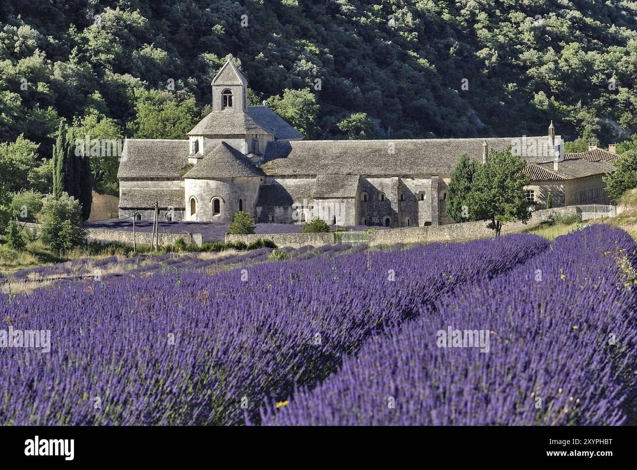Abbey notr hi-res stock photography and images - Alamy