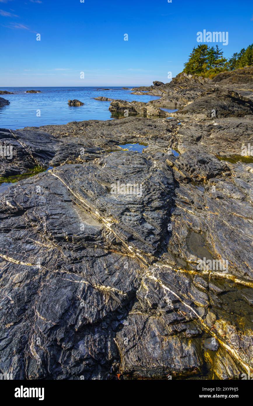 Veined rock hi-res stock photography and images - Alamy