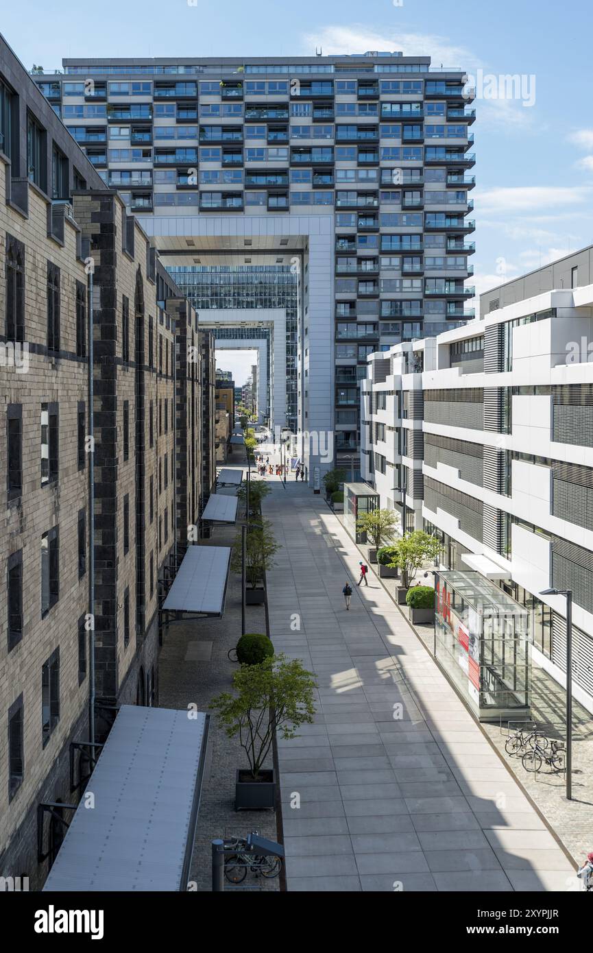 Crane houses and residential buildings in the customs harbour Stock ...