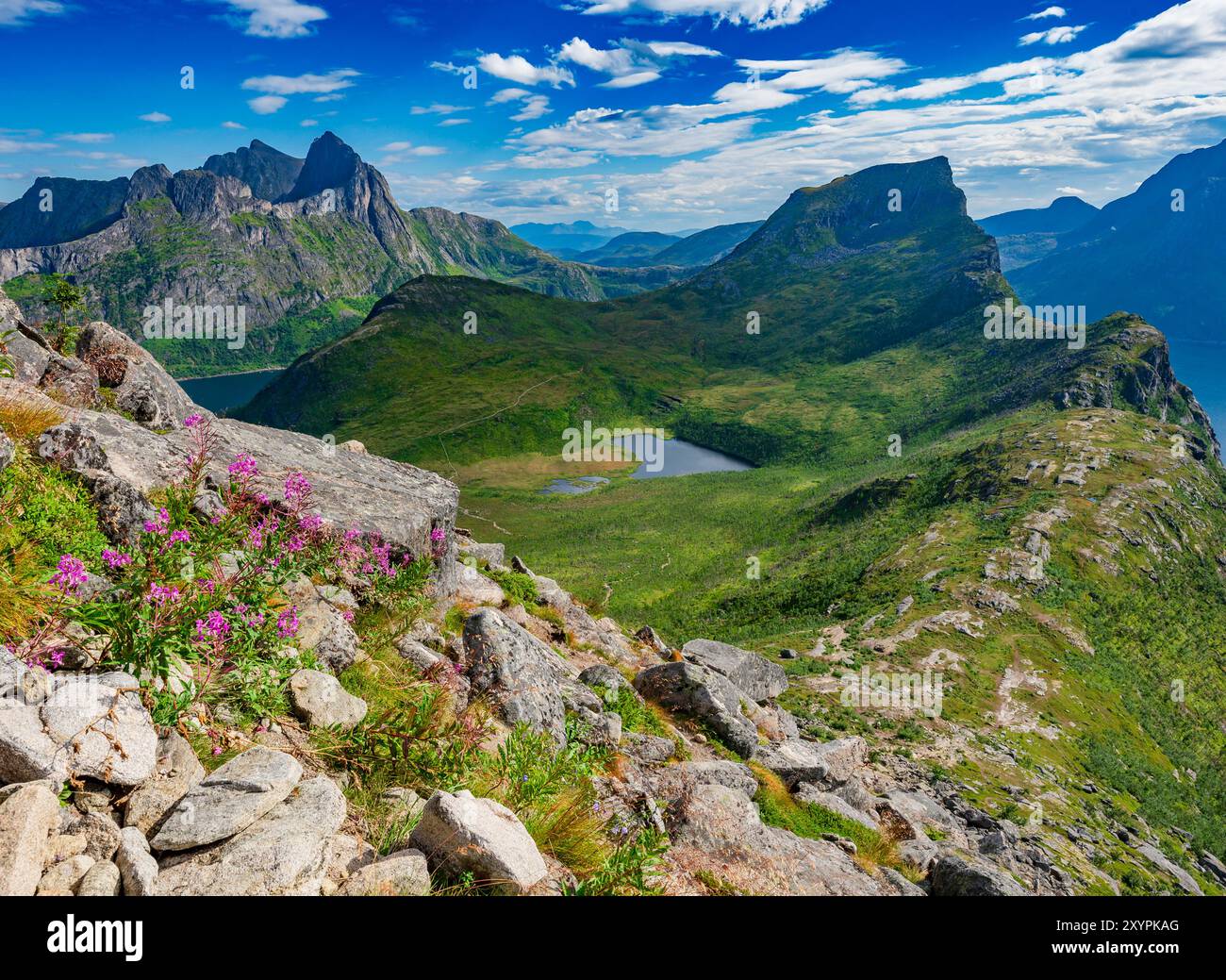 Fjordgard, Norway. 08th Aug, 2024. View of the landscape and fjords of ...