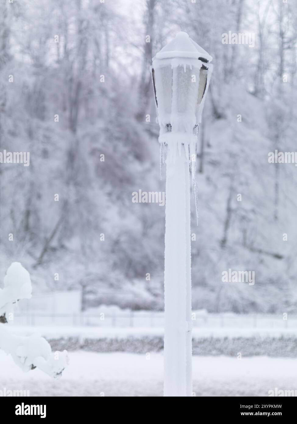 Frozen lamp post in a snow covered city. Niagara Falls, Ontario, Canada ...