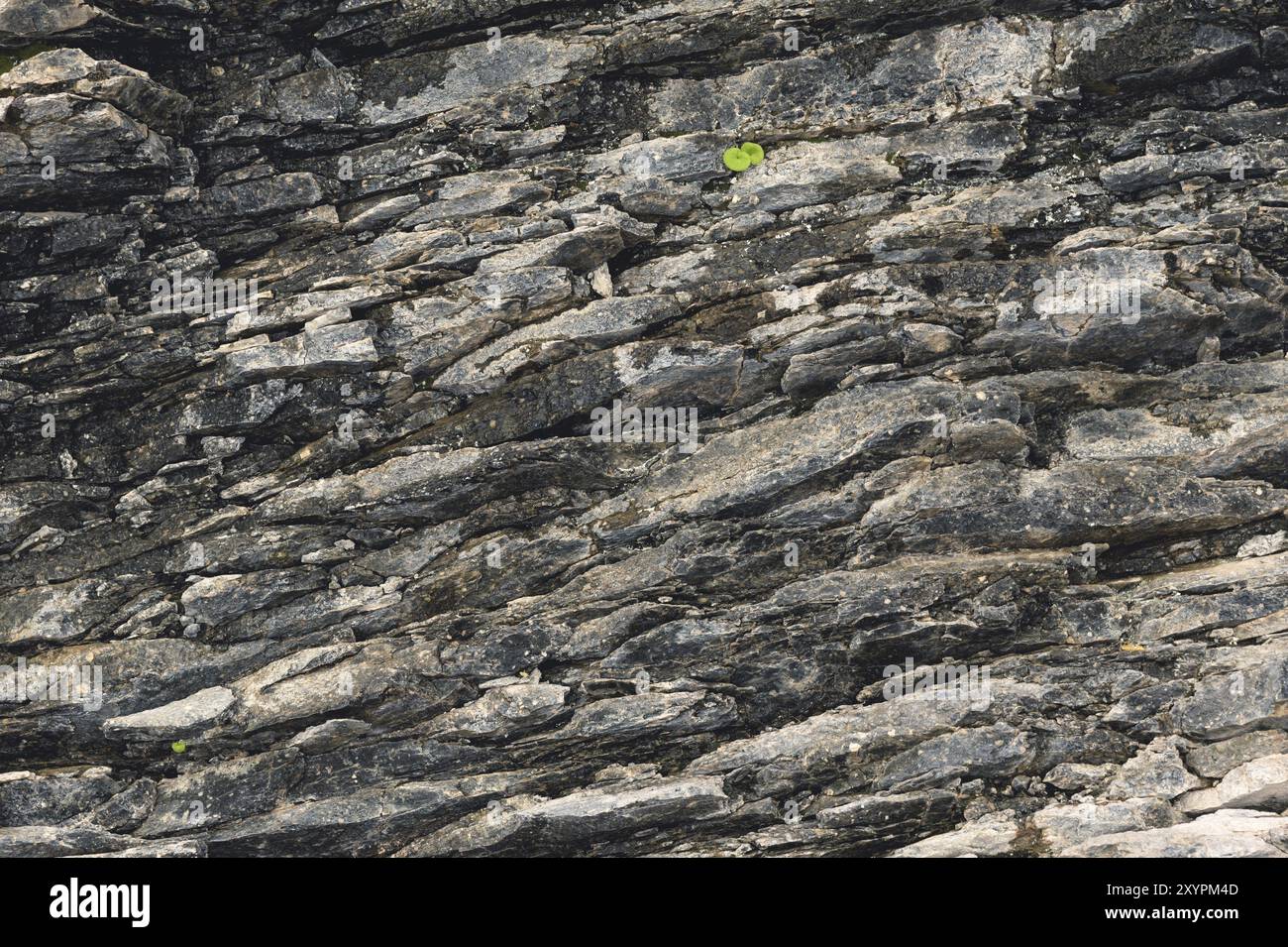 Textured basalt background thin stone fibers in the cut. natural ...