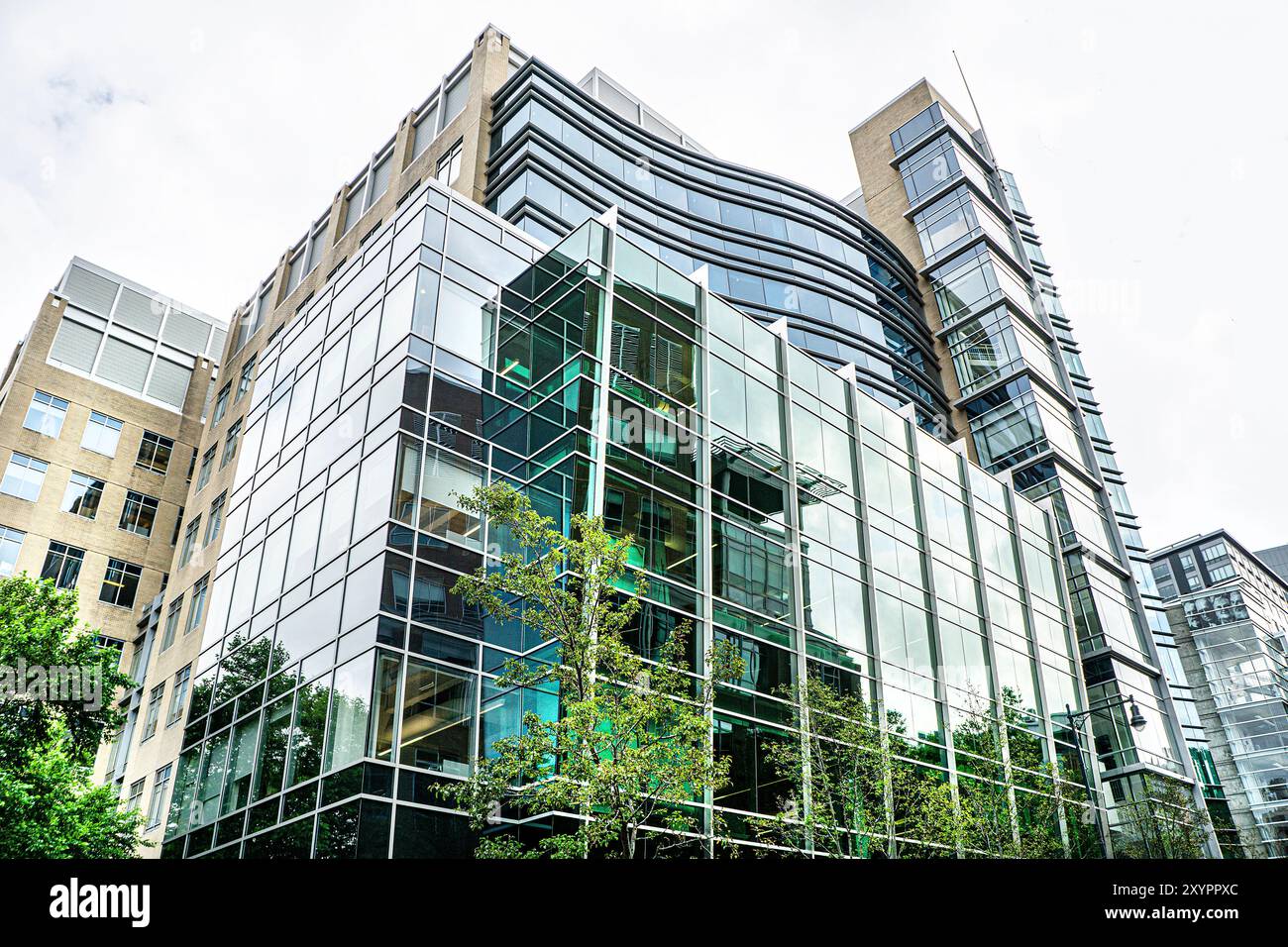 Pharmaceutical industry company hi-res stock photography and images - Alamy