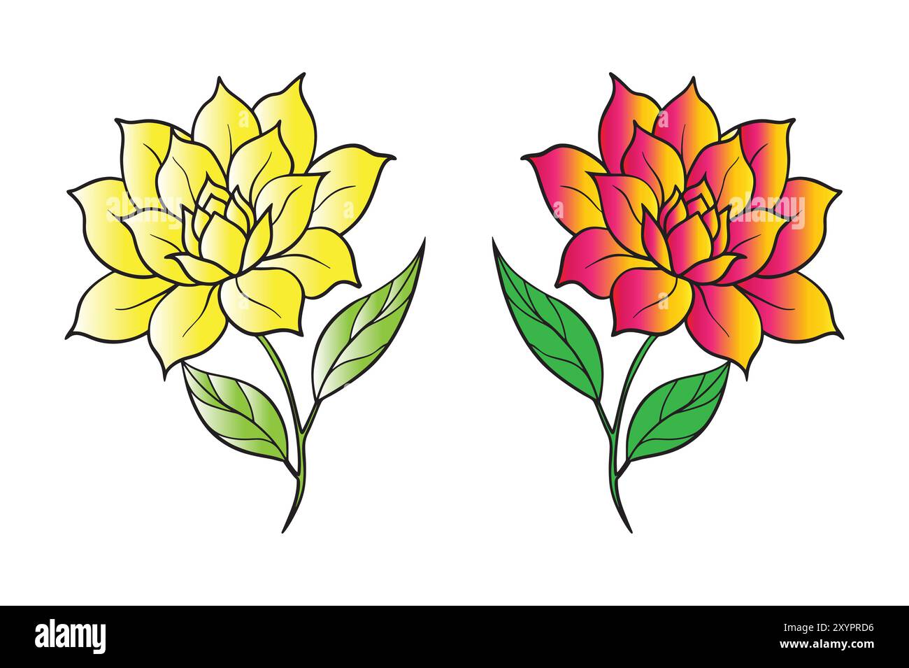 colorful flower vector set Stock Vector Image & Art - Alamy