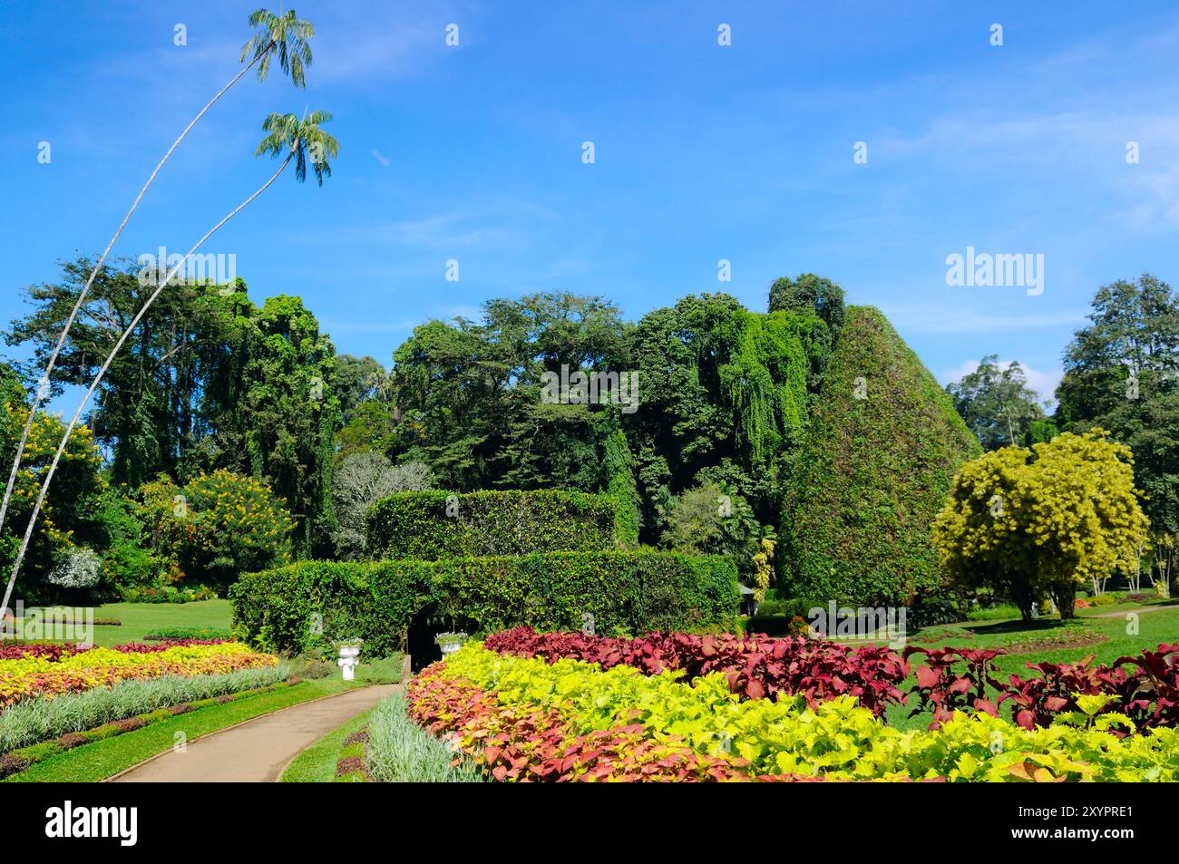Kandy sri lanka national park hi-res stock photography and images - Alamy