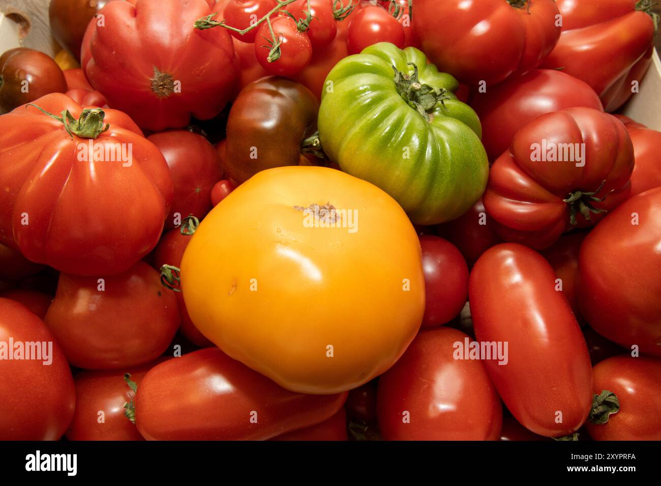 A large basket of lots of varieties of red green and yellow tomatoes ...