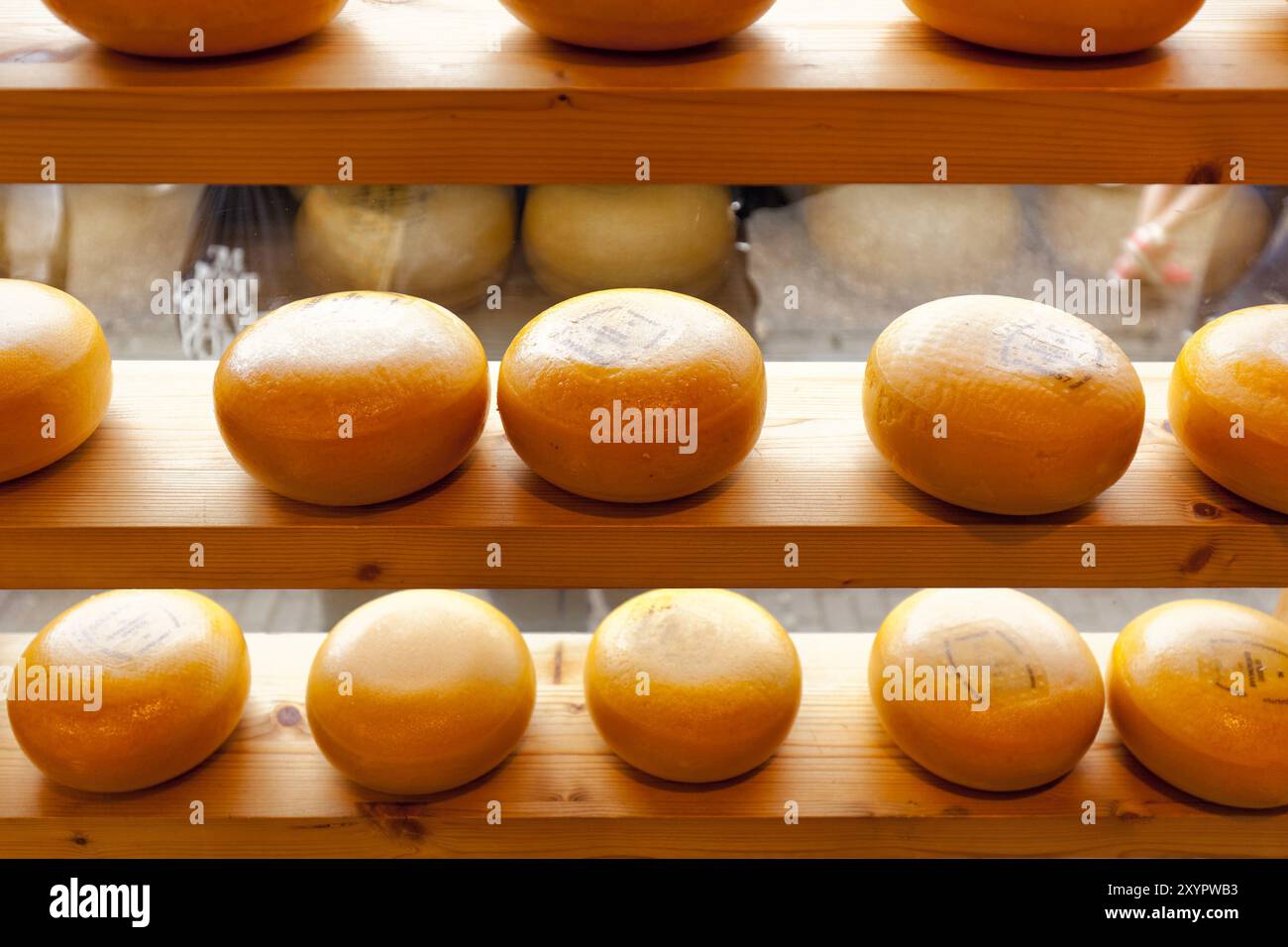 Cheese display in a shop window, Amsterdam, Netherlands Stock Photo - Alamy