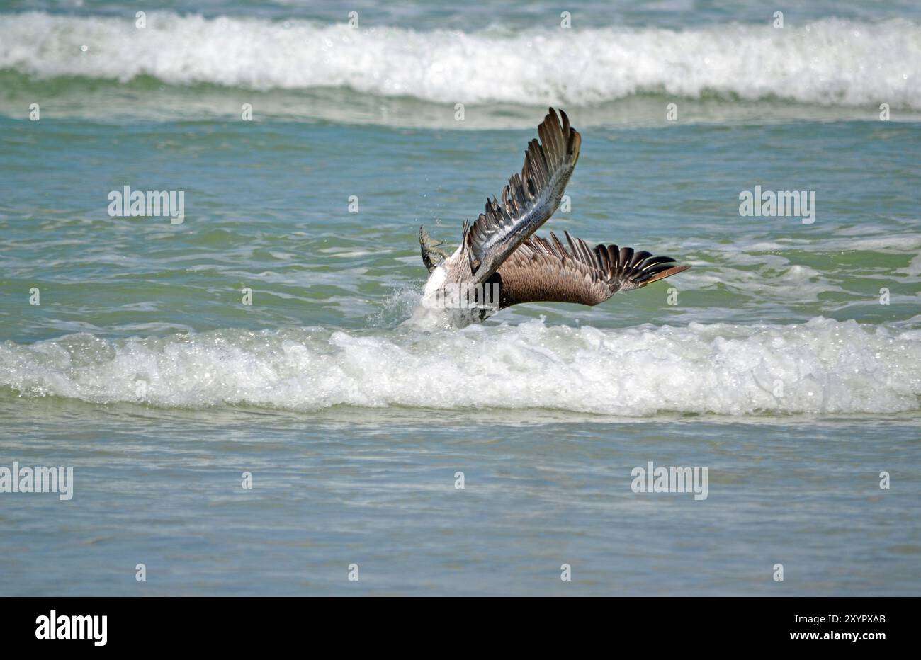 Plunge headfirst hi-res stock photography and images - Alamy