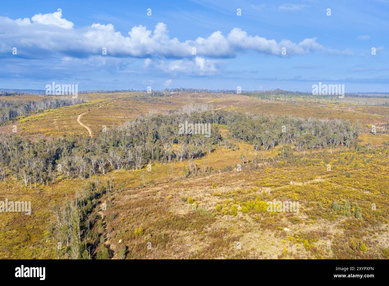Drone aerial photograph of remote bushland in the Blue Mountains in New ...