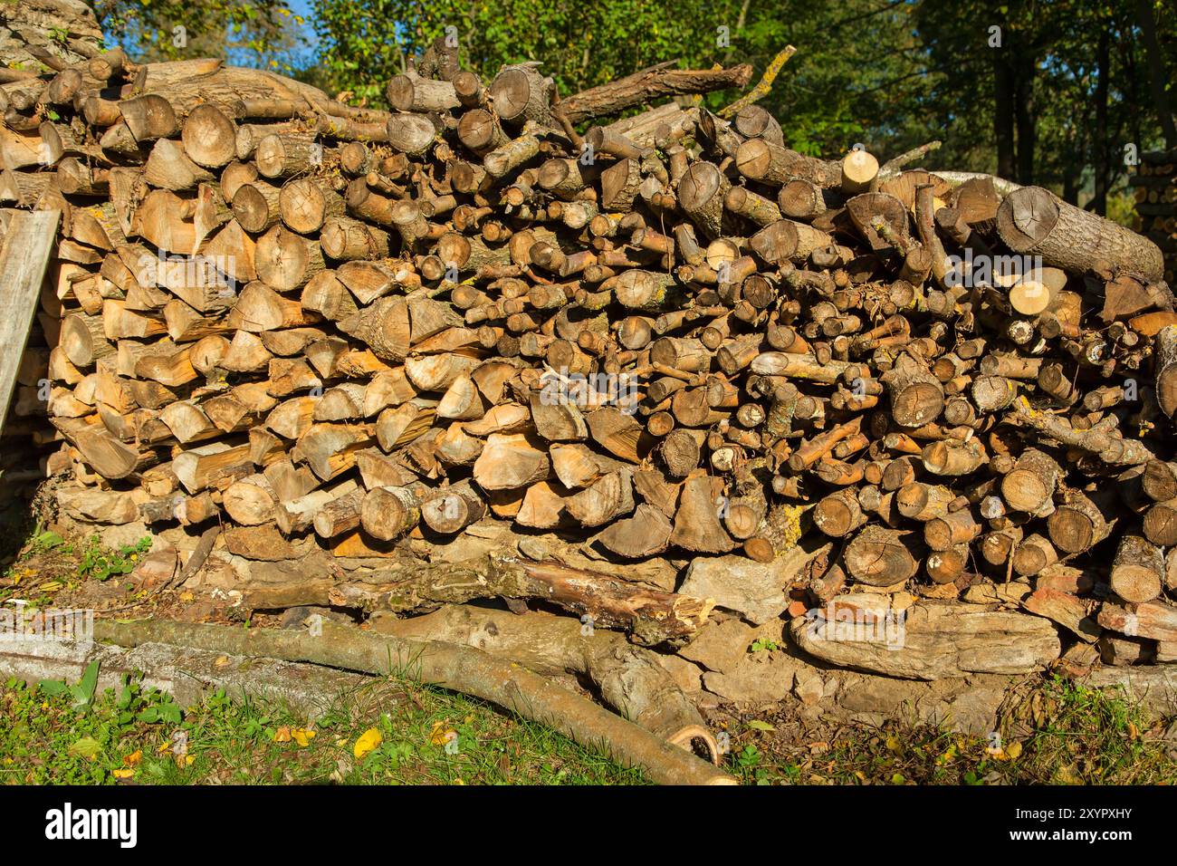 Log piles garden hi-res stock photography and images - Alamy