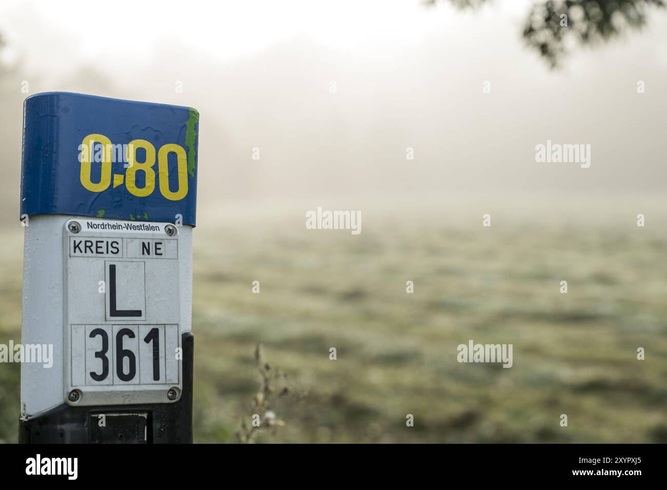 Atmospheric misty country road scene hi-res stock photography and ...