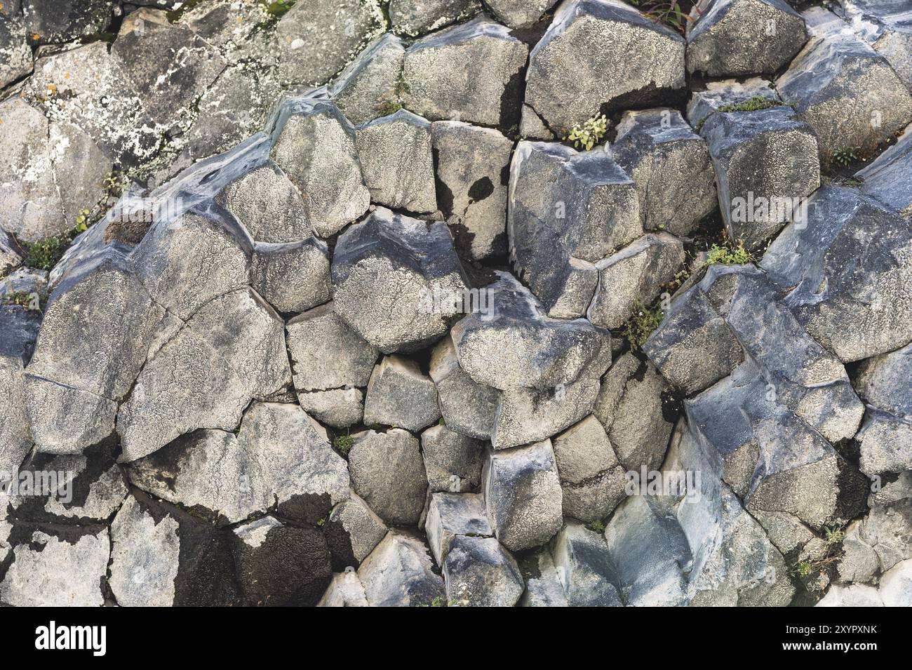Textured basalt background hexagonal stone pillars in a section ...