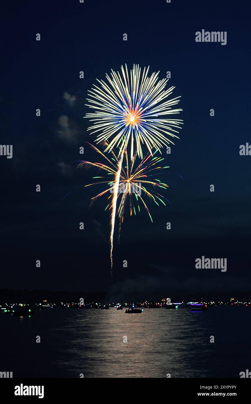 Fireworks That Look Like Blooming Dandelion Explode Over Lake ...
