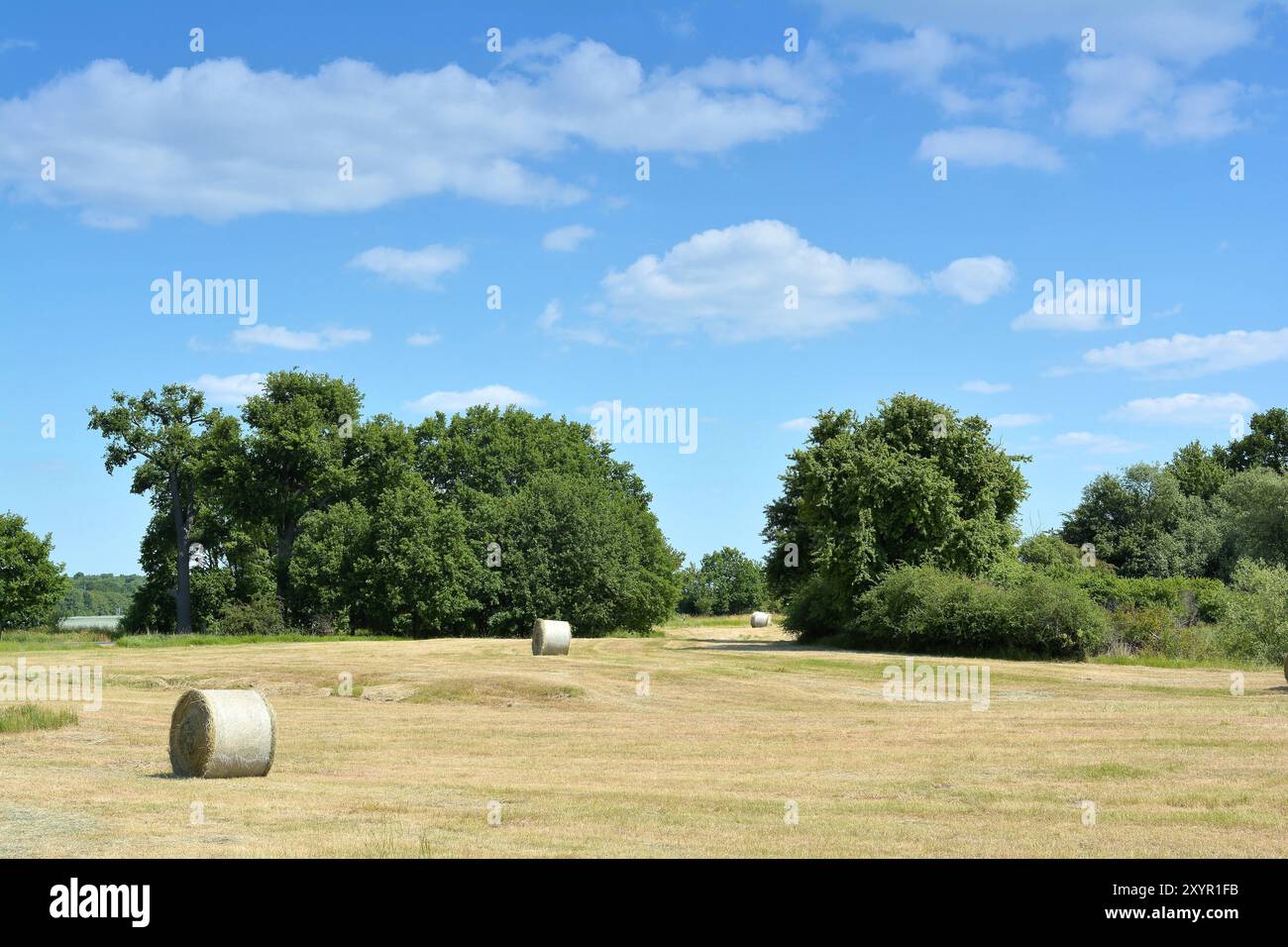 Shot dry bale hay rolling hi-res stock photography and images - Alamy