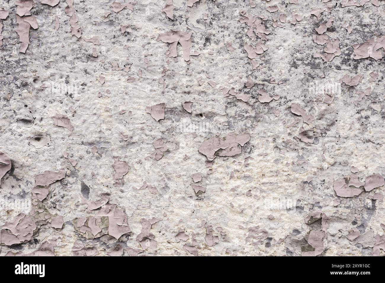 Elements Pink paint coating with cracks on a dirty gray stone. Peeling ...