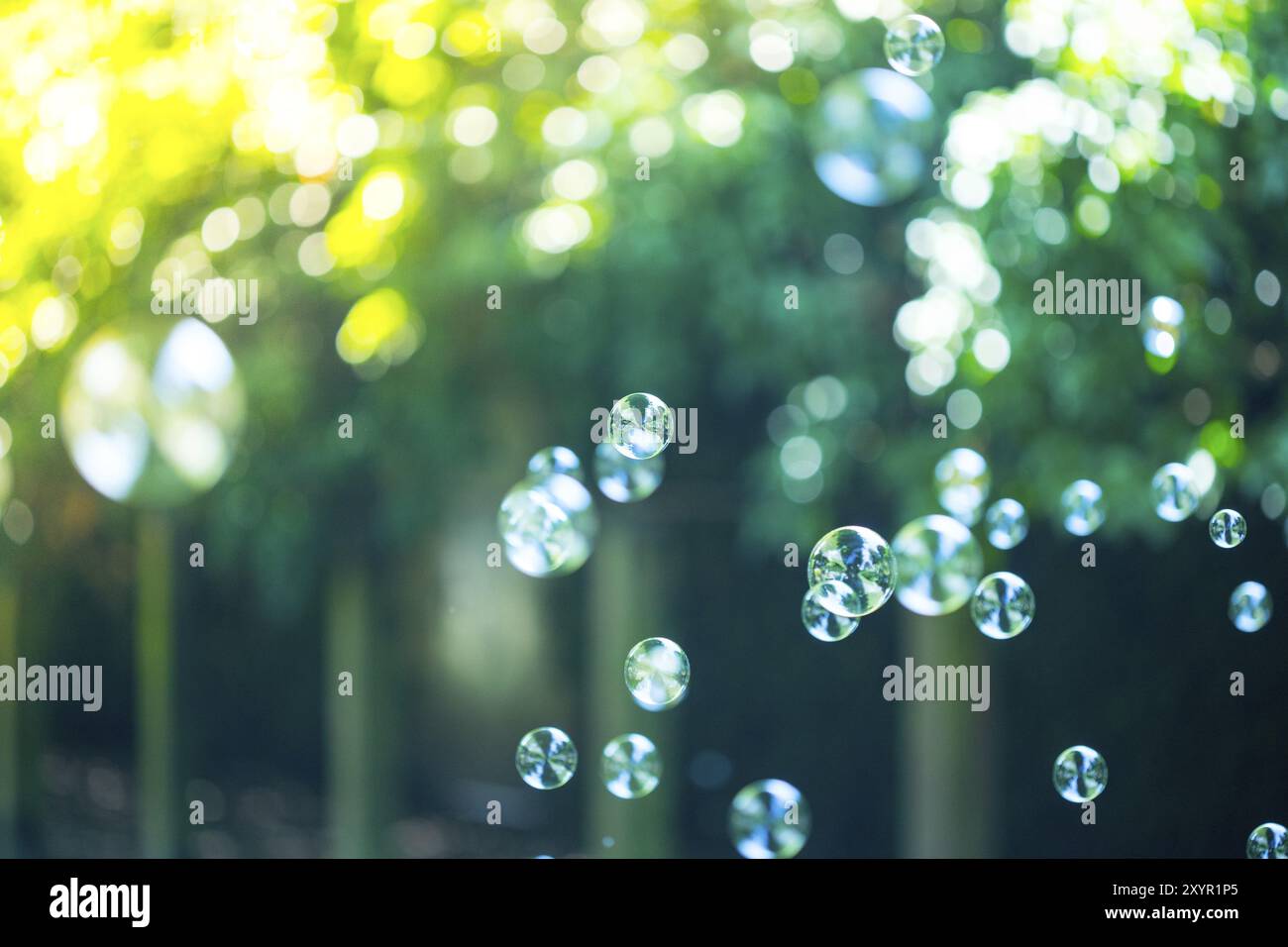Colorful soap bubbles outdoors, summer time, fun Stock Photo - Alamy