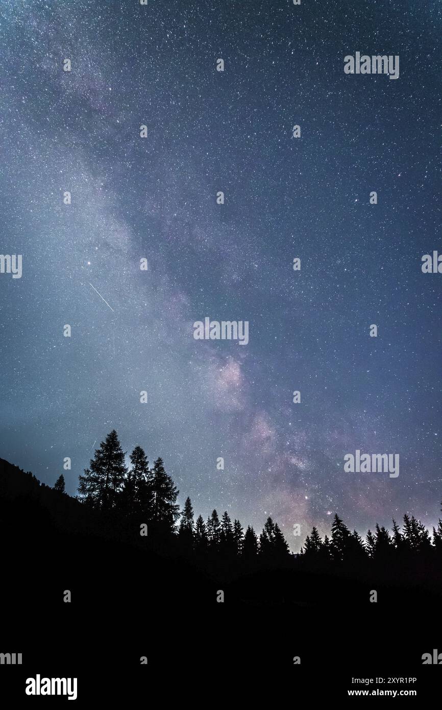 Milky way clear at night, silhouettes of trees Stock Photo - Alamy