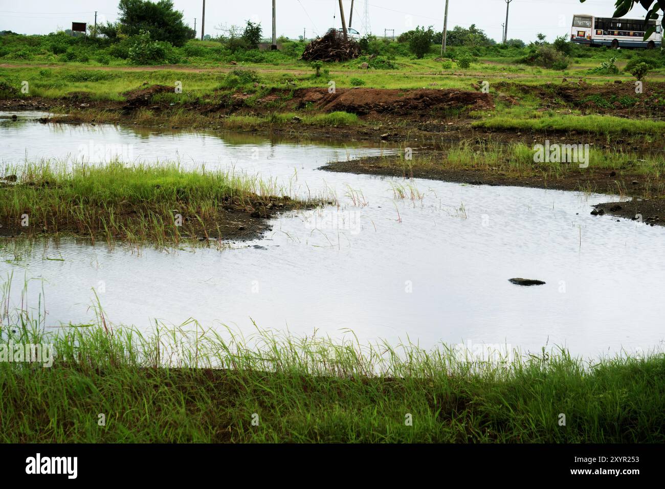 A tranquil small pond with grassy edges and rocky features, showcasing ...