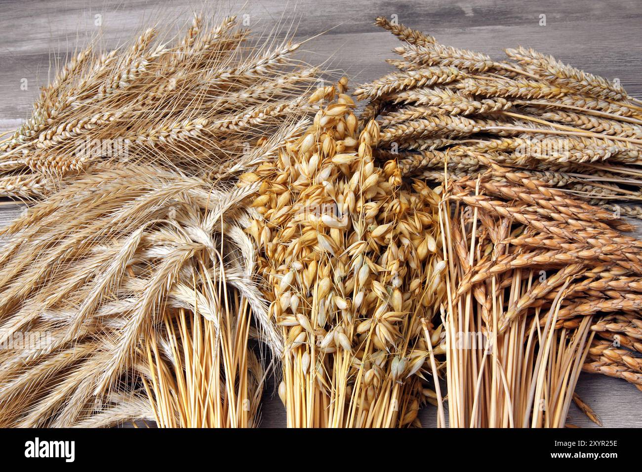 Cereal sheaves hi-res stock photography and images - Alamy